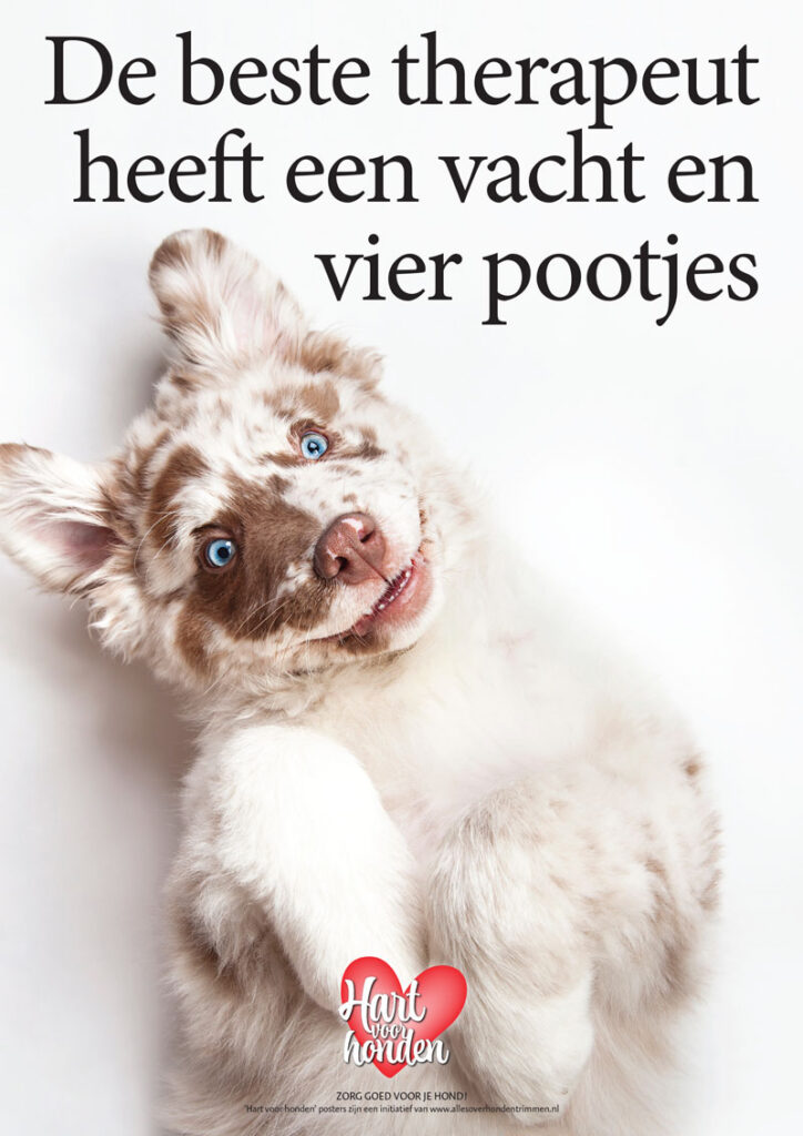 ‘Hart voor honden’ poster ‘de therapeut’